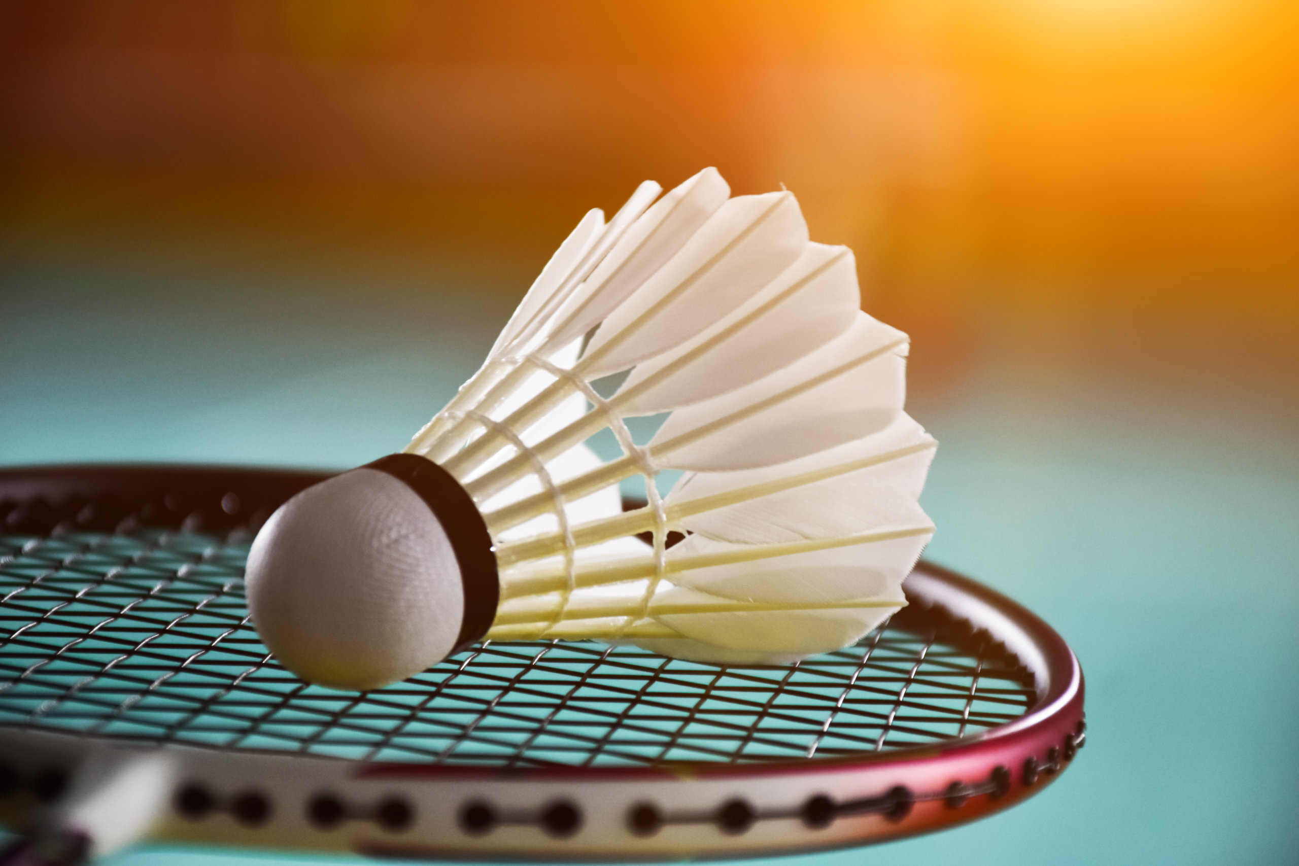 Festival volného času - Odpoledne určené pro zájemce o badminton | Praha 13